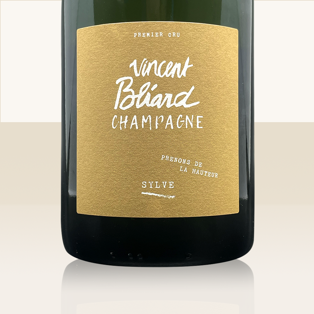 Vincent Bliard Sylve - Bio