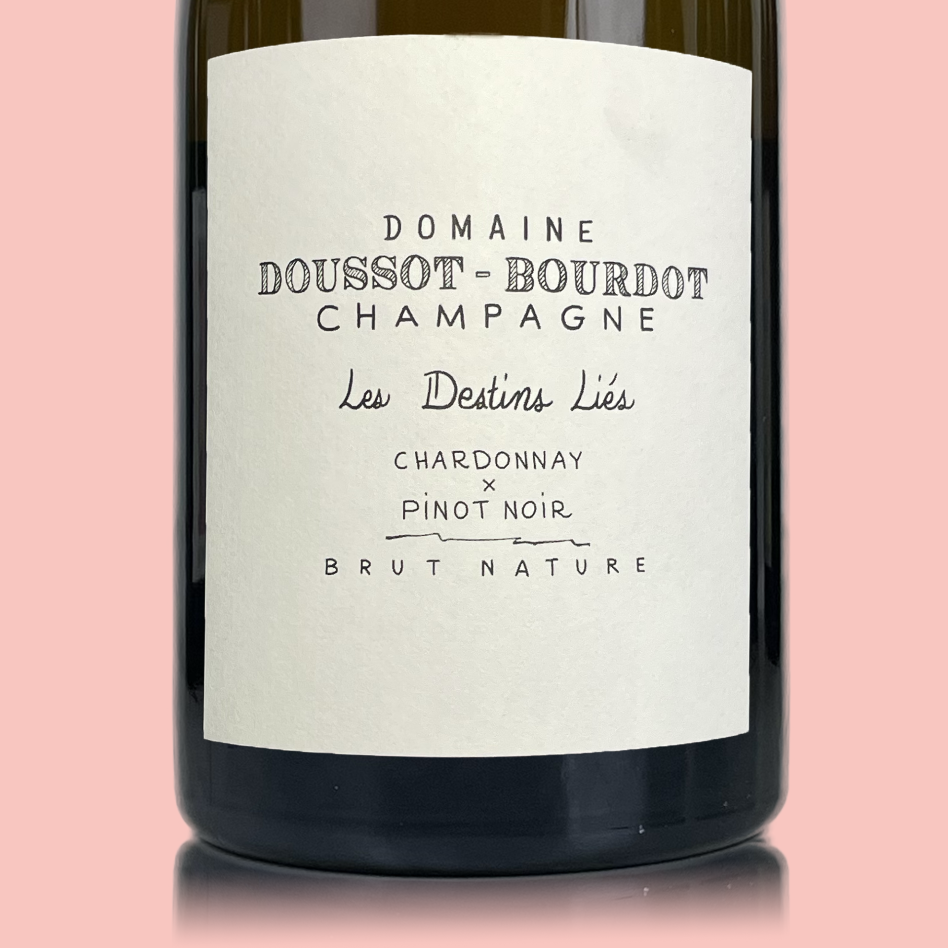 Winzerchampagner Lieferung in Deutschland und Österreich