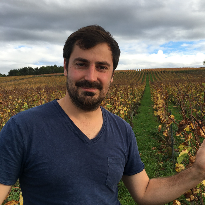 Champagne Thibault Tassin - kleine Menge aber enorme Qualität von zwei ...
